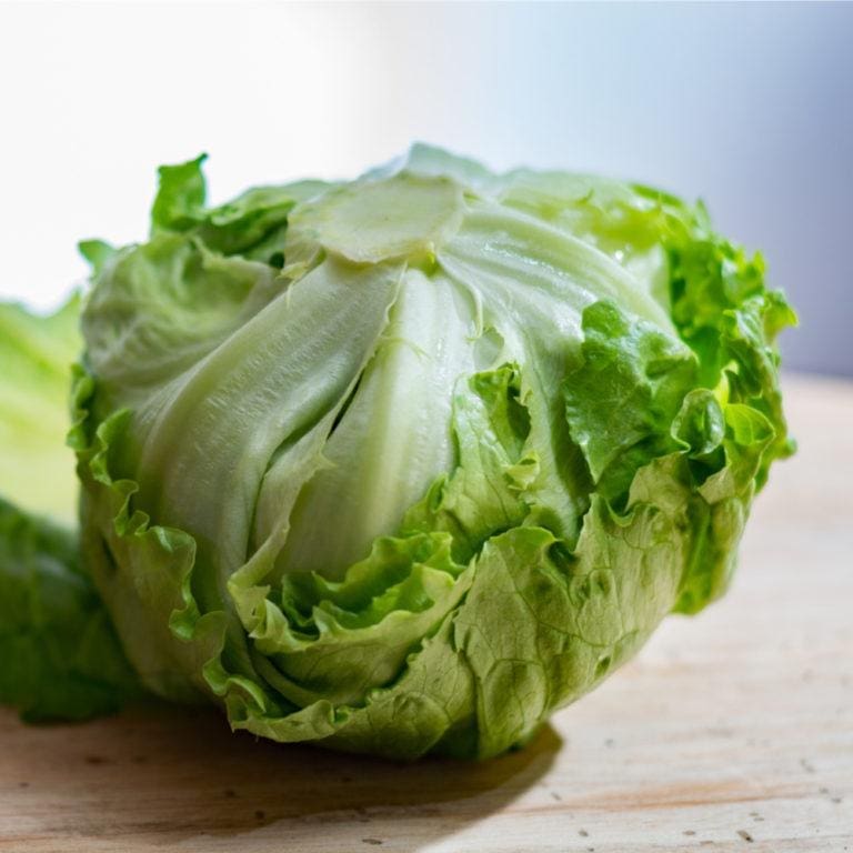 LETTUCE ICEBERG - Zone Fresh