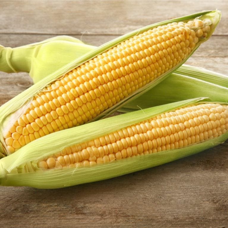 SWEET CORN LOOSE - Zone Fresh