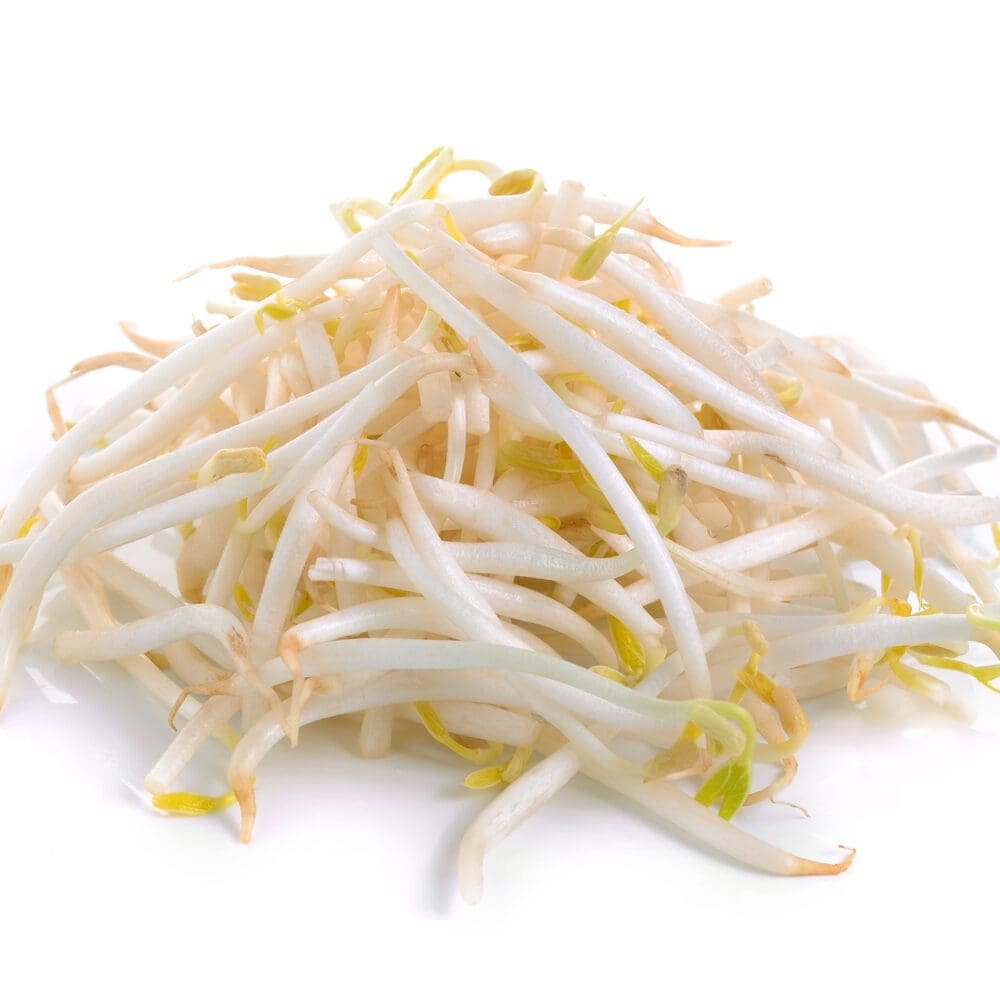 HEALTHY SPROUTS BEAN SPROUTS - Zone Fresh