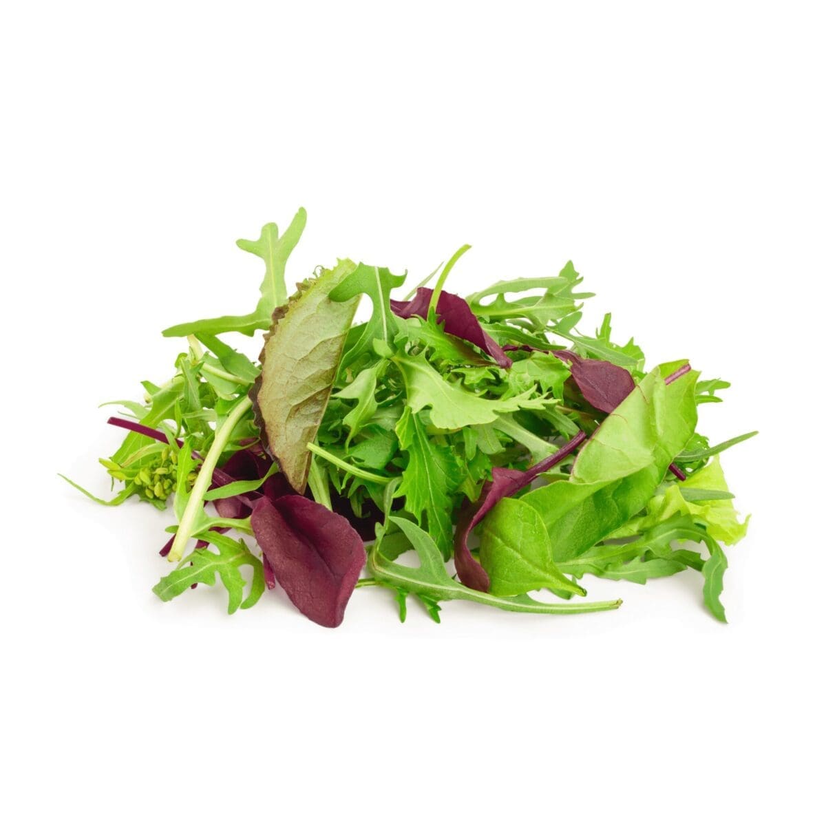 LETTUCE SALAD MIX PRE PACK - Zone Fresh