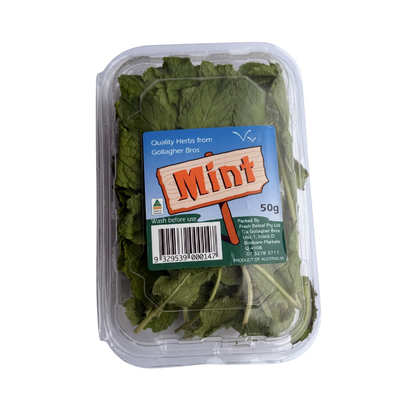 HERB FRESH MINT - Zone Fresh