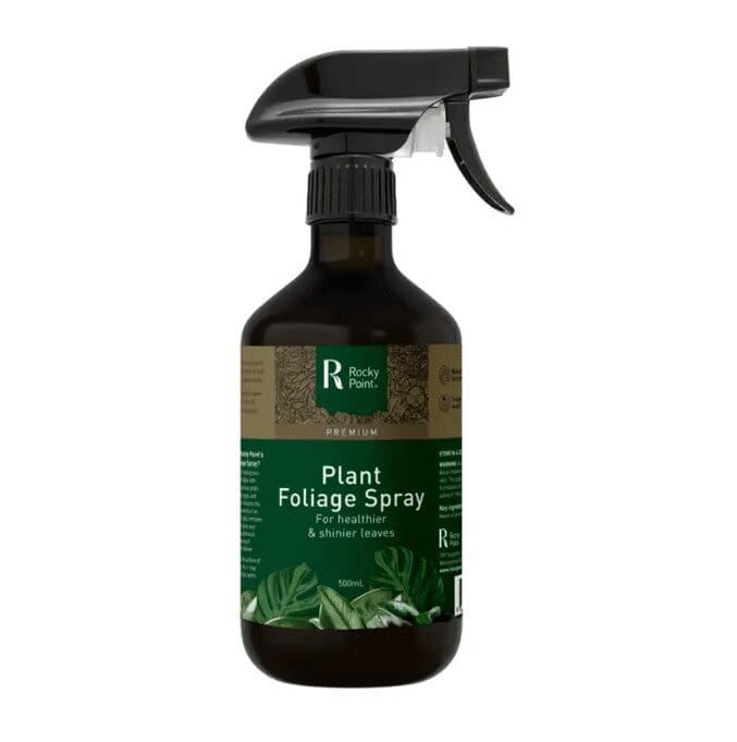 ROCKY POINT PLANT FOLIAGE SPRAY - Zone Fresh