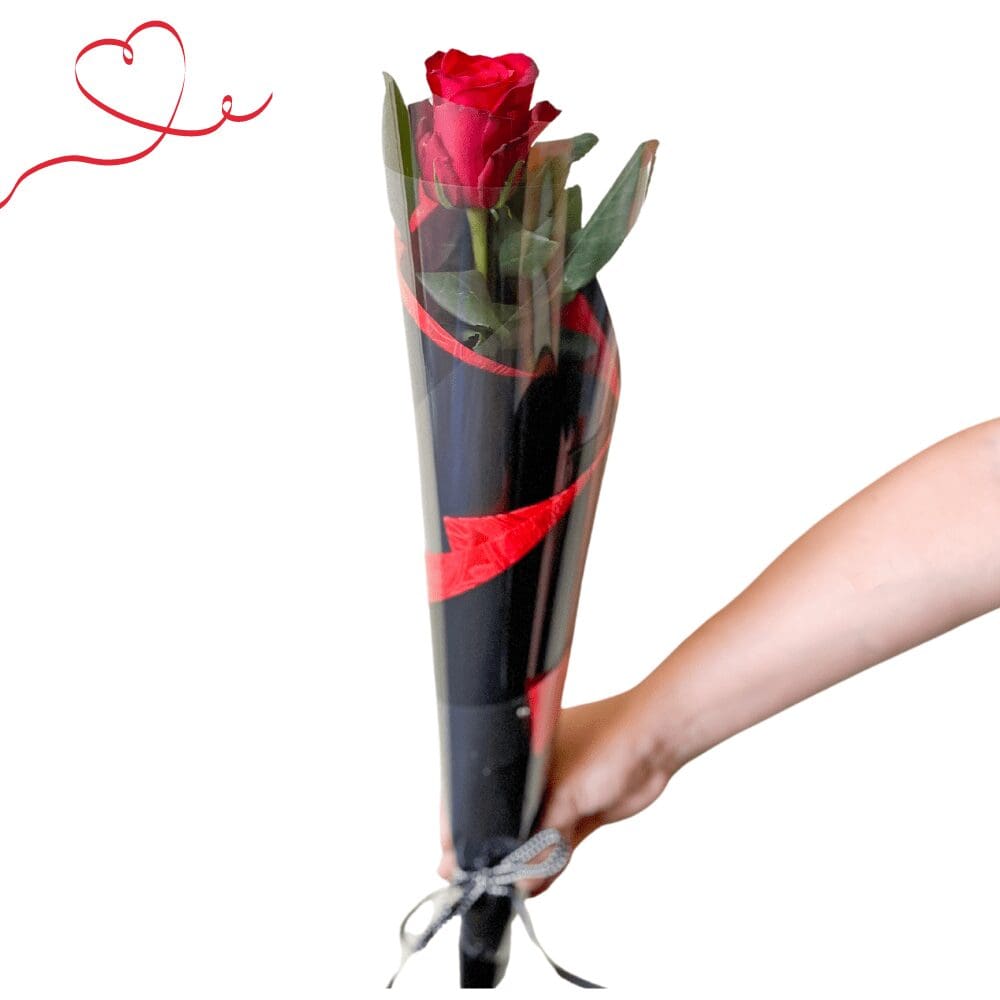 VALENTINES SINGLE RED COLOMBIAN ROSES - Zone Fresh