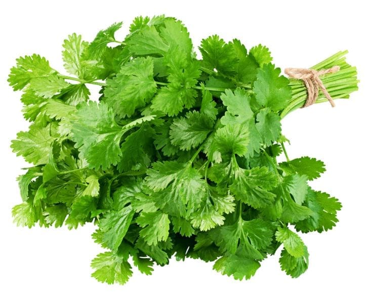 HERB FRESH CORIANDER - Zone Fresh