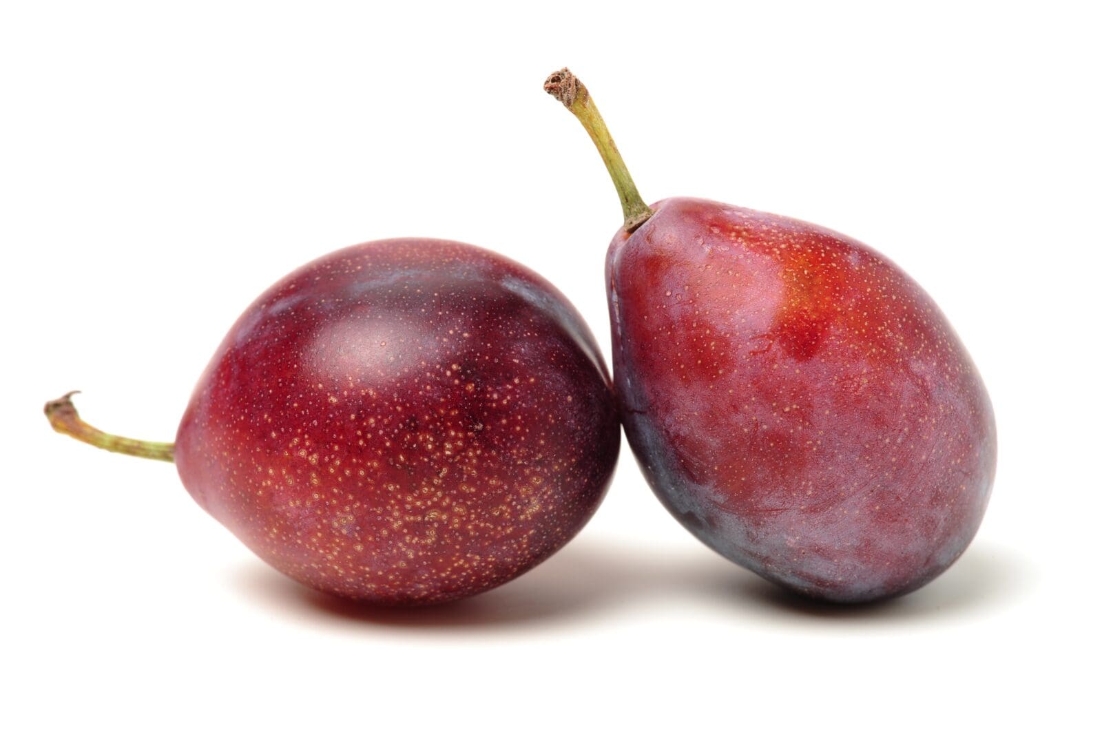SUGAR PLUM - Zone Fresh