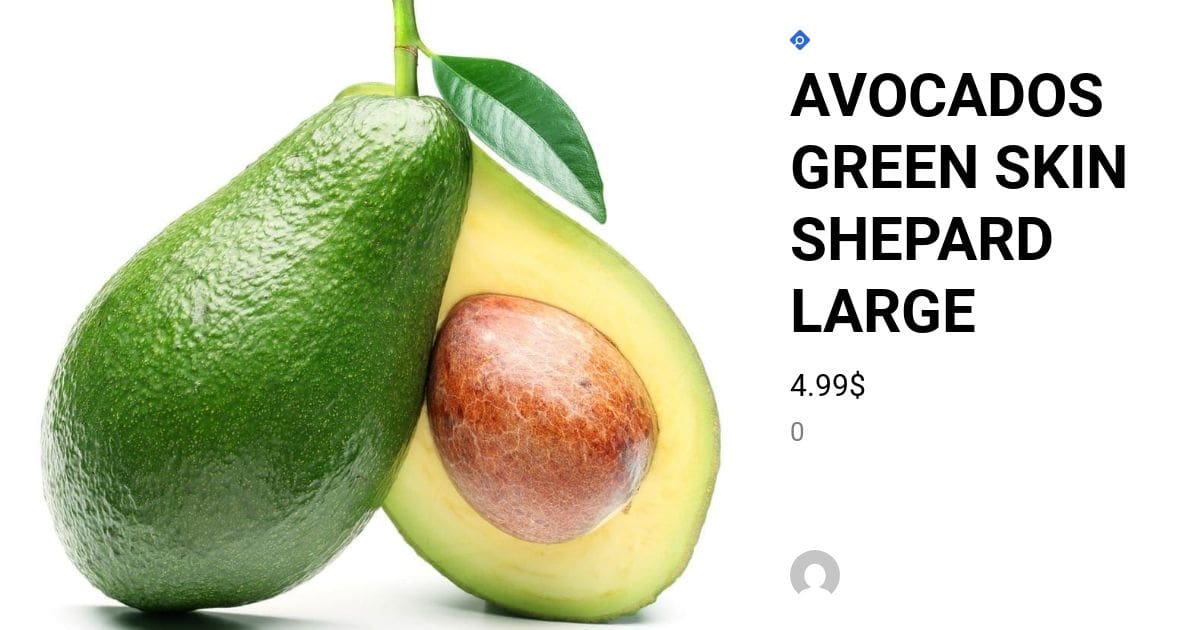 AVOCADOS GREEN SKIN SHEPARD LARGE - Zone Fresh