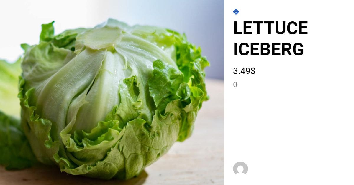 LETTUCE ICEBERG - Zone Fresh